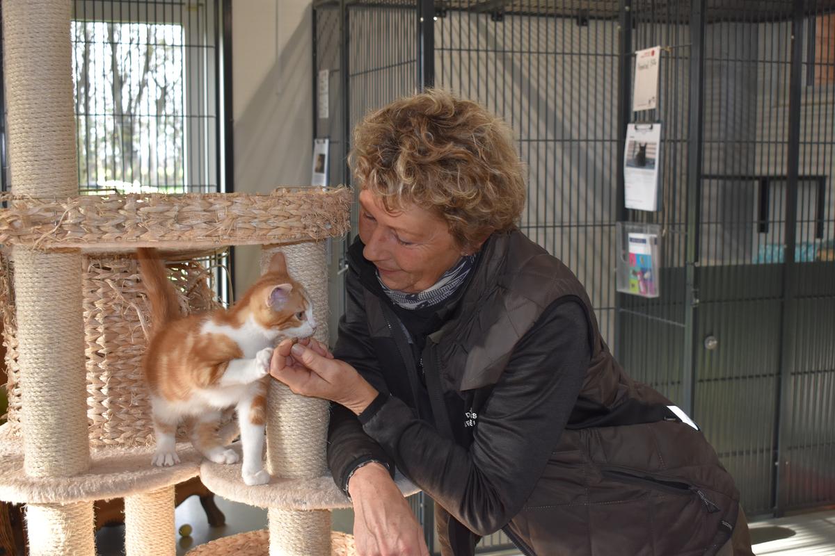 10 år for dyrene på Fyn | Dyrenes Beskyttelse